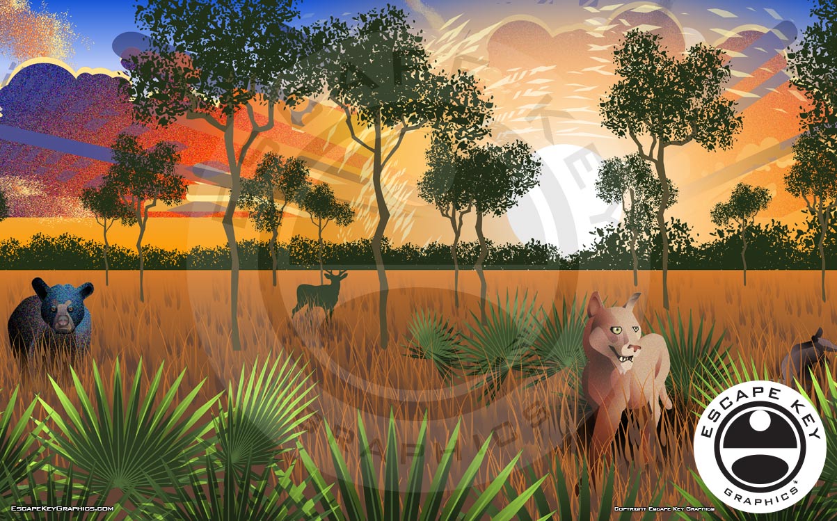 Wilderness Illustration - Public Art illustration promoting Florida ...